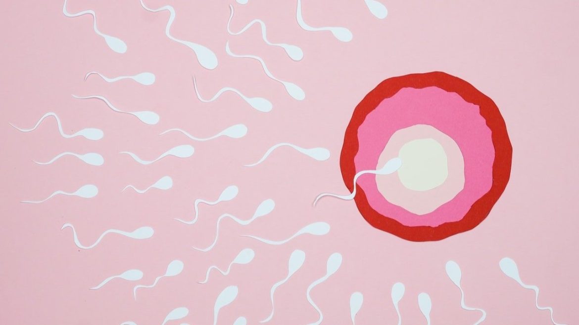 Sperm Nedir? Spermin İçinde Neler Vardır? - Cinsels